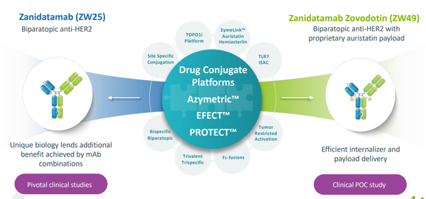双特异性ADC的兴起 - 知乎