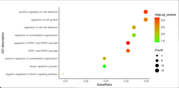 利用ggplot2绘制功能富集气泡图 - 知乎