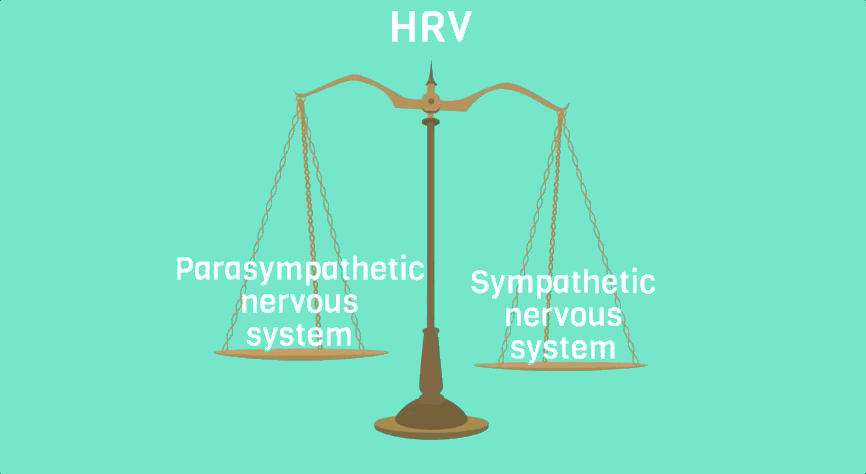 心率变异性（HRV）的秘密：不仅仅是个数字 - 知乎