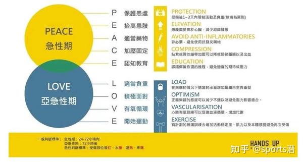 最新软组织损伤处理原则：PEACE & LOVE - 知乎