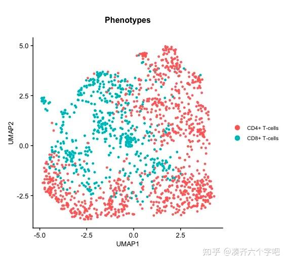 CytoTRACE2单细胞分化潜力预测工具学习 - 知乎