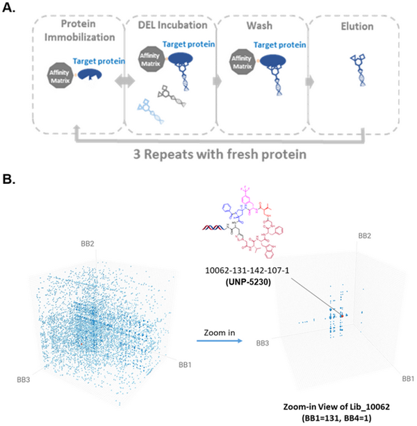 最新进展 | 环肽DEL筛选为MDM2抑制剂发现提供新动力 - 知乎