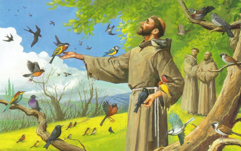 "从富家少爷到福音使者：圣方济各的传奇与奇迹之路" - 知乎