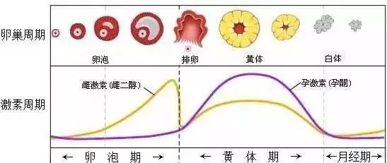 女性生理期到底要不要运动？什么运动更适合？ 知乎
