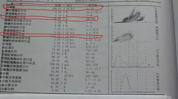 手把手教你看懂报告 — 血常规 知乎