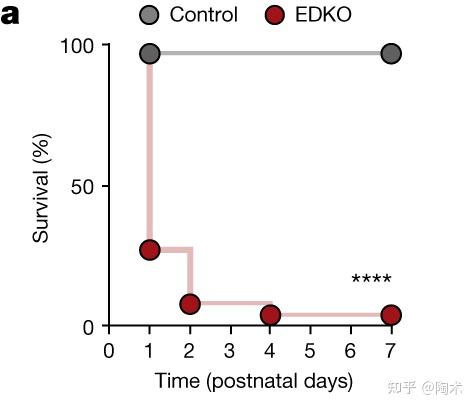 Nature重磅丨母乳中蕴含心脏发育重要物质，少了它出生后死亡率极高！ - 知乎