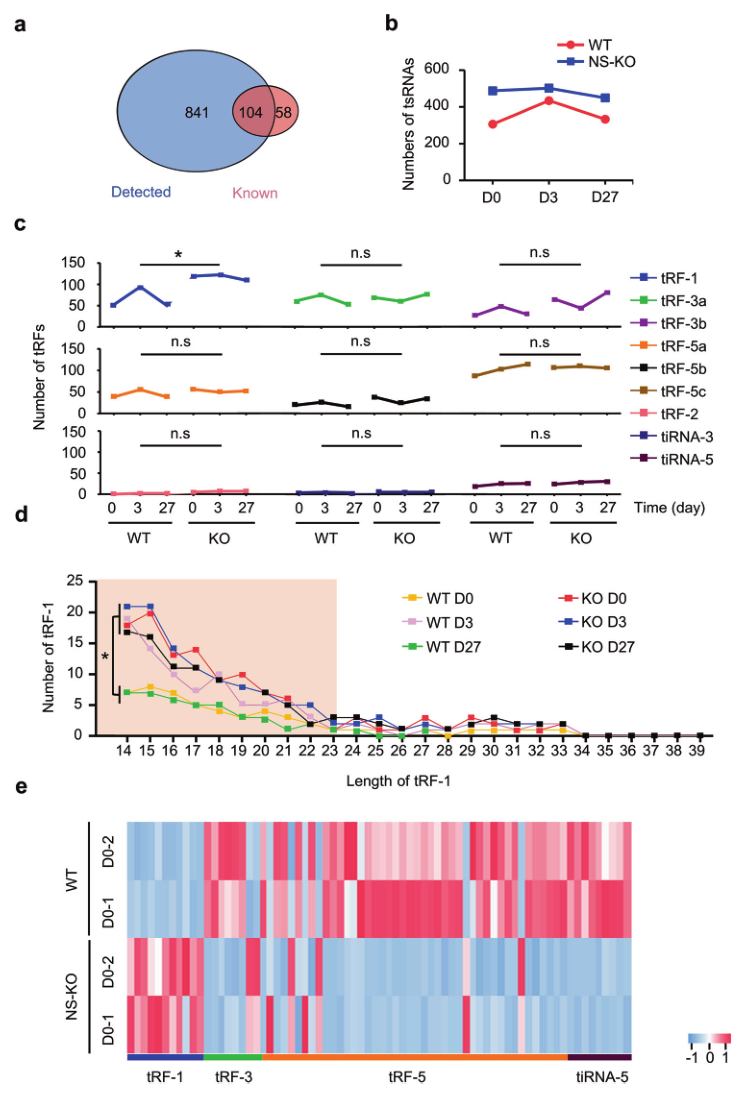 (IF 39.3)|蛋白质组学助力tsRNA研究新视角 - 知乎