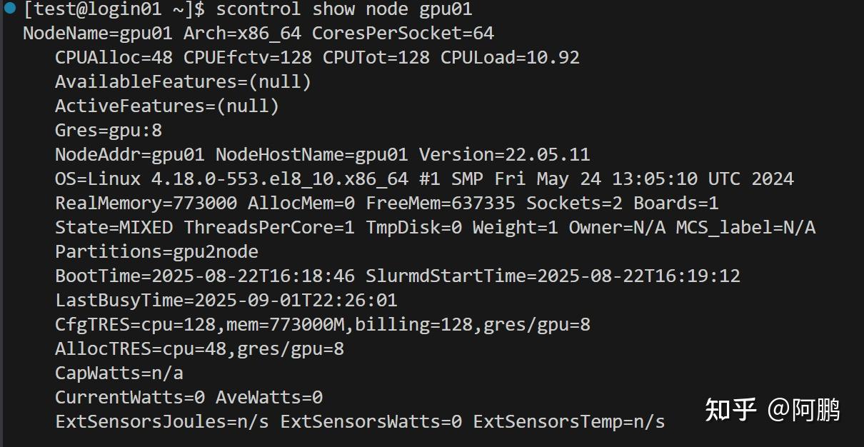 slurm多卡服务器集群上使用vscode+debugpy远程调试python程序 - 知乎