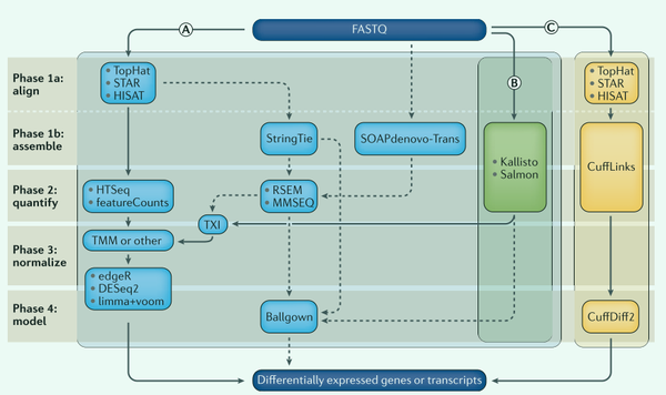 转录组RNA-seq分析前沿进展综述 - 知乎