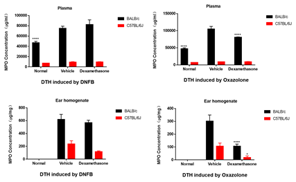 干货！热门模型分享：如何建立迟发型超敏反应（DTH）小鼠模型？ - 知乎