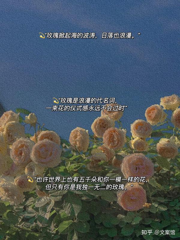 18有关玫瑰的高级浪漫文案 知乎