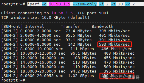 Docker + VPP强强联合：在Docker容器中玩转高性能VPP路由！ - 知乎