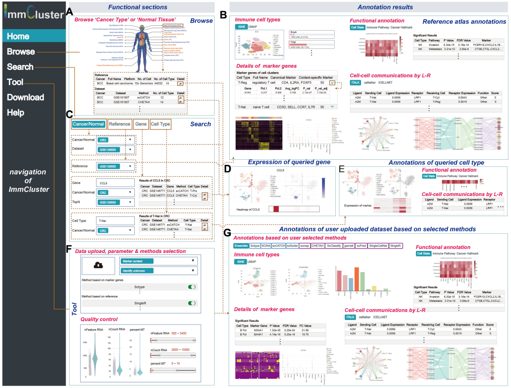 NAR︱ImmCluster：集成的免疫细胞类型注释及分析平台 - 知乎