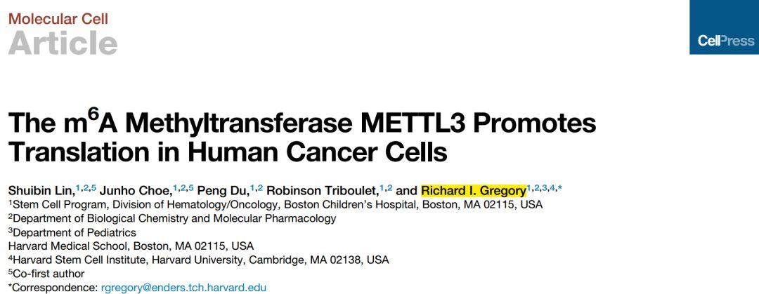 深度丨RNA m6A修饰直接调控肿瘤发生吗？这篇Nature有话说 - 知乎