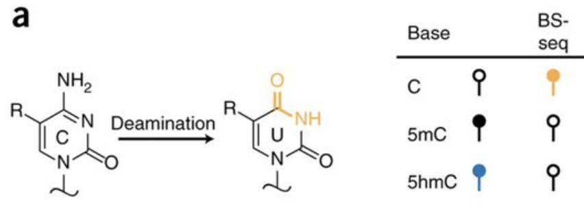 表观遗传学领域的2个新技术以及展望 - 知乎