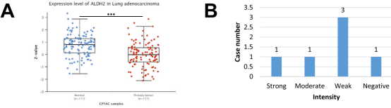 5张图拿下6分+纯生信，单基因超值思路来袭！转录+蛋白+表观多组学分析+免疫分析，创新性超赞，极易复现!！ - 知乎