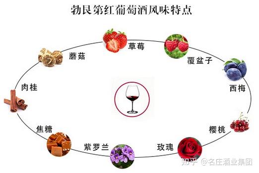 看懂葡萄酒酒标—教你读懂勃艮第葡萄酒标 知乎