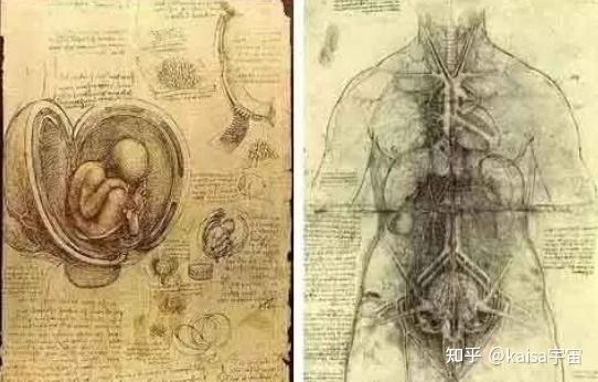 达芬奇为什么被称为人类史上的全能天才？ - 知乎