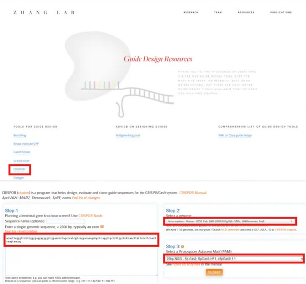 基因编辑-载体构建之CRISPR/CAS9 - 知乎