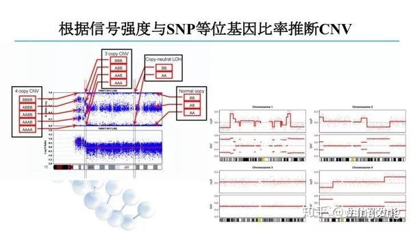 CNV数据分析 - 知乎