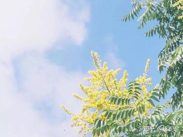 打开一扇窗 知乎