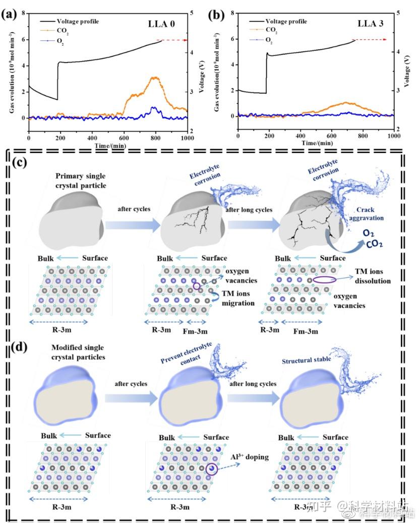 刘云建教授EnSM观点：表面双重改性抑制单晶LiNi0.8Co0.1Mn0.1O2晶内裂纹和氧空位 - 知乎