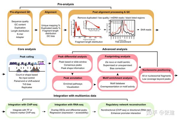 ATAC-seq pipeline (2022_12_10 Version1.0) - 知乎
