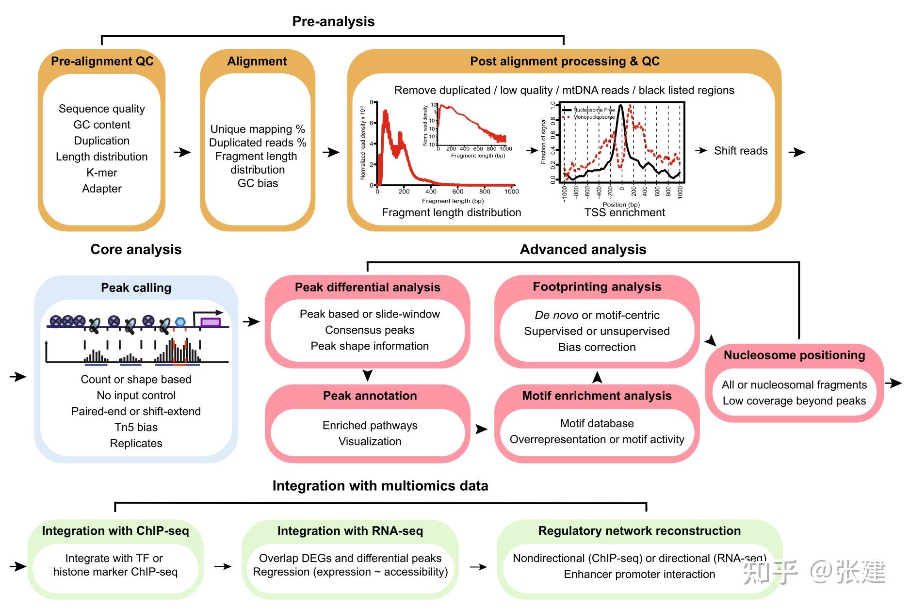 ATAC-seq pipeline (2022_12_10 Version1.0) - 知乎