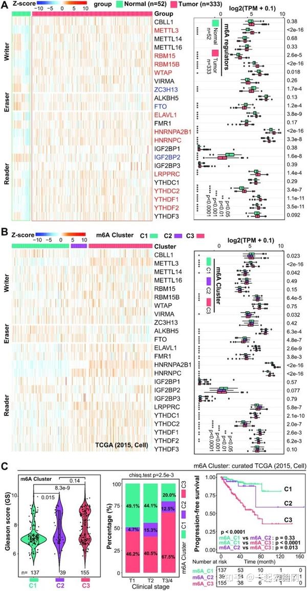 m6A整合生信分析可发NAR Cancer！ - 知乎