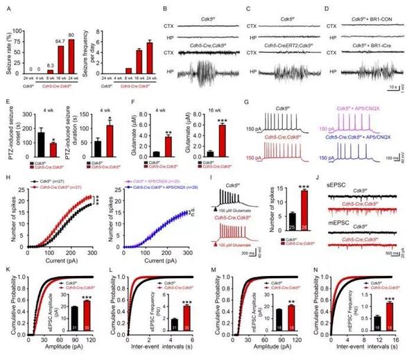 【客户文章】《J Exp Med》南京医科大学卢应梅教授、韩峰教授与浙江大学陈忠教授合作发现癫痫产生的新机制 - 知乎