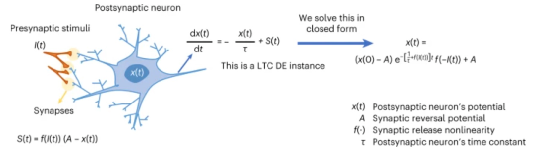 解决神经网络的百年难题，MIT新模型Liquid CfC让模拟大脑动力学成为可能 - 知乎