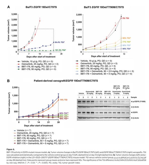 BBT-176，一种新的第四代酪氨酸激酶抑制剂，用于治疗非小细胞肺癌中奥希替尼耐药的EGFR突变 - 知乎