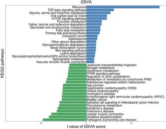 scRNA分析|单细胞GSVA + limma差异分析-celltype分组？样本分组？ - 知乎
