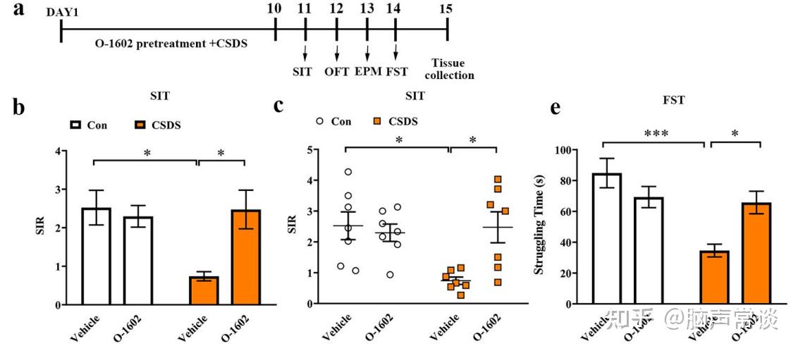 复旦大学俞瑾团队揭示GPR55对CSDS模型小鼠海马神经炎症和成熟神经发生障碍的神经保护作用 - 知乎