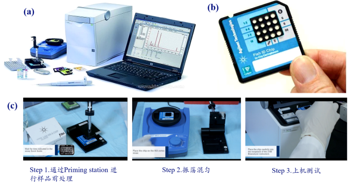 产品解析 | 第5期：Agilent 2100生物分析仪 - 知乎