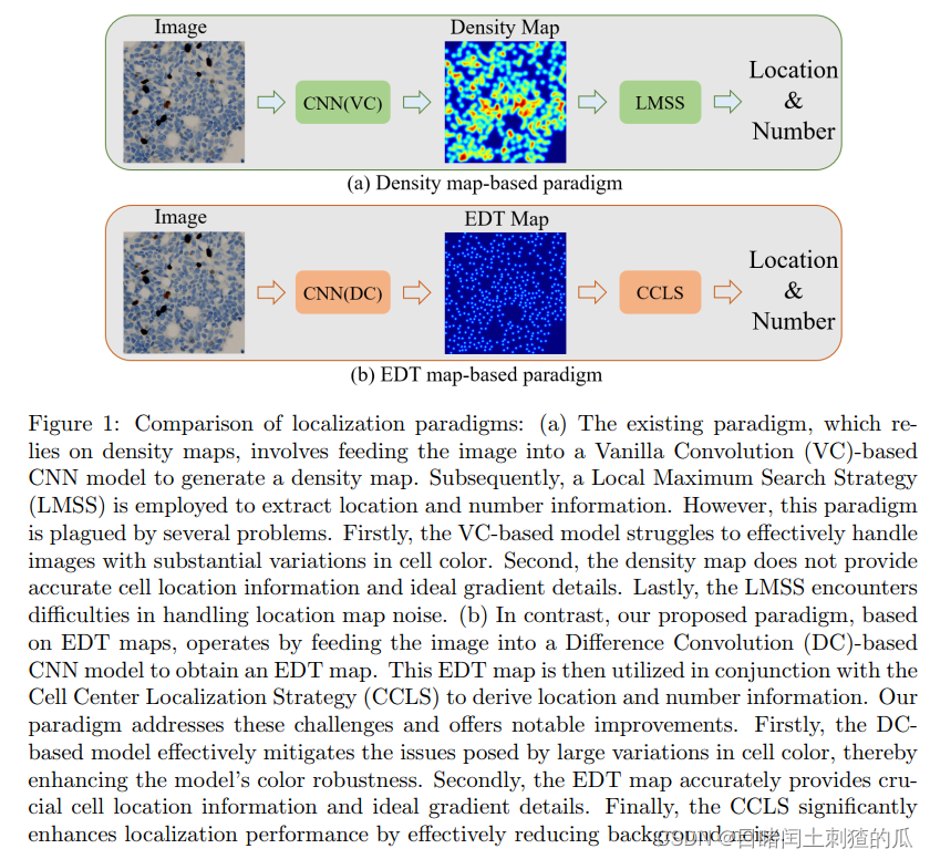 用于细胞定位的指数距离变换图--Exponential Distance Transform Maps for Cell ...