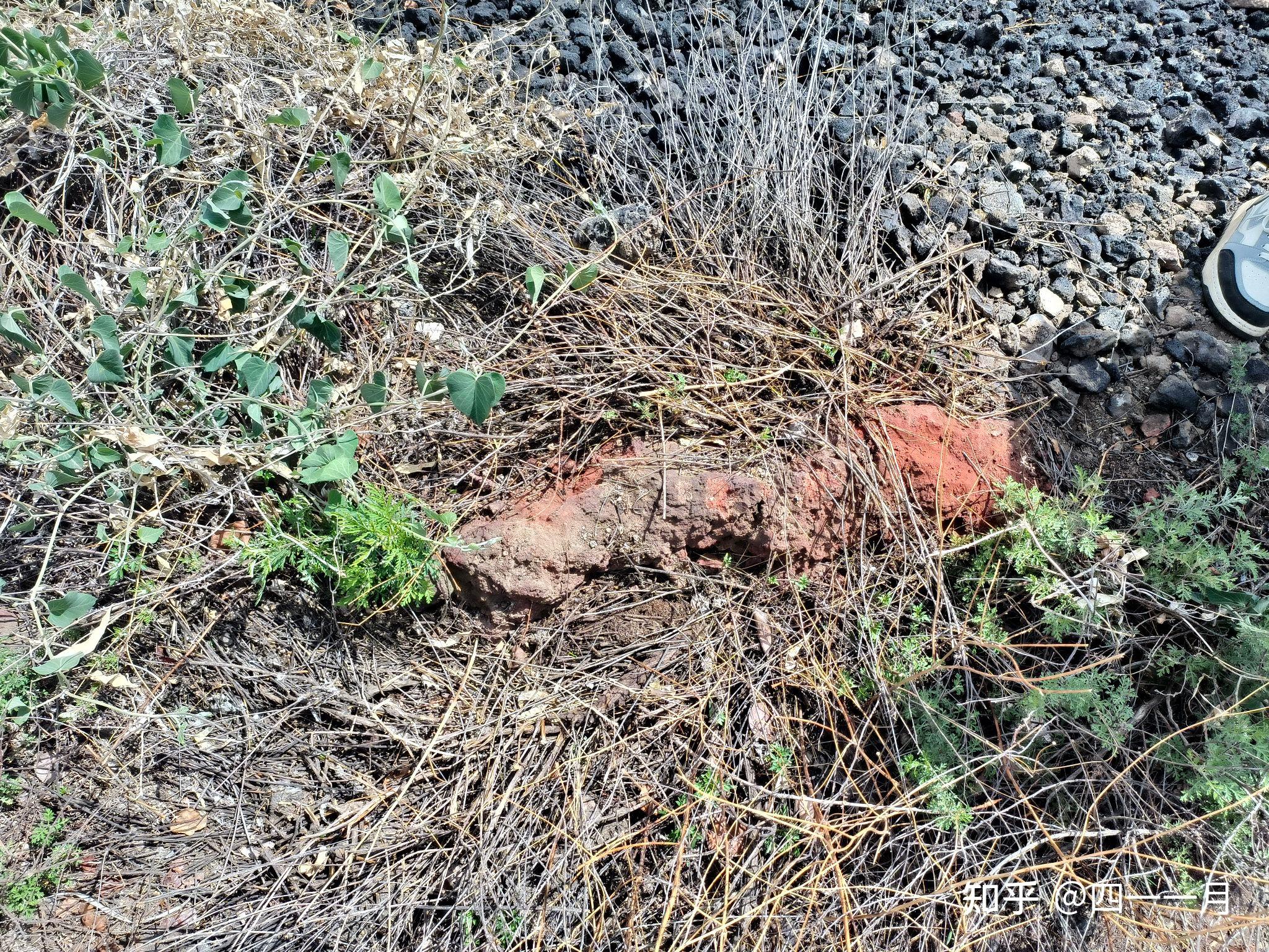 大同火山群|Datong volcanic group: volcanic fault basin |Quaternary ...