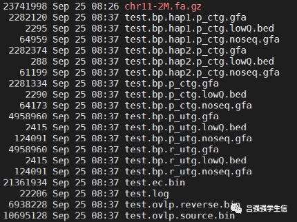 单倍体组装工具Hifiasm简介及基本运行命令(一) - 知乎