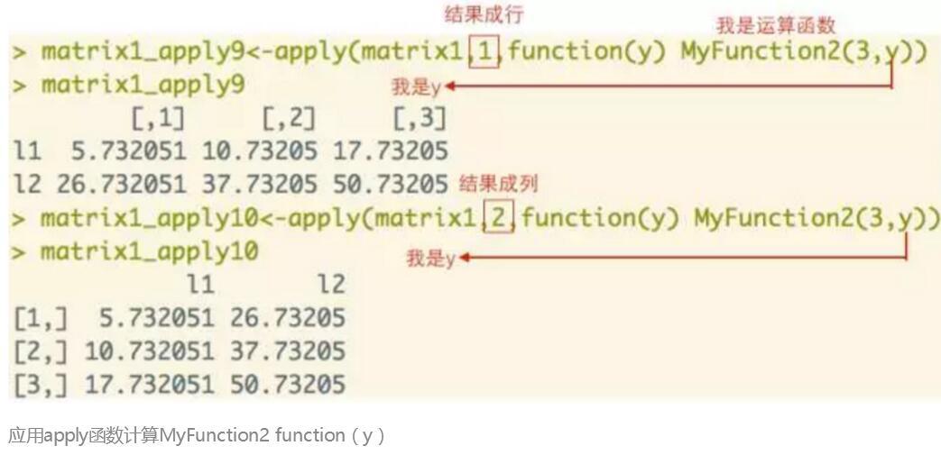 R点石成金三人组：apply,lapply,sapply - 知乎