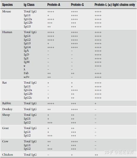 Protein A、Protein G、Protein L（转载） - 知乎