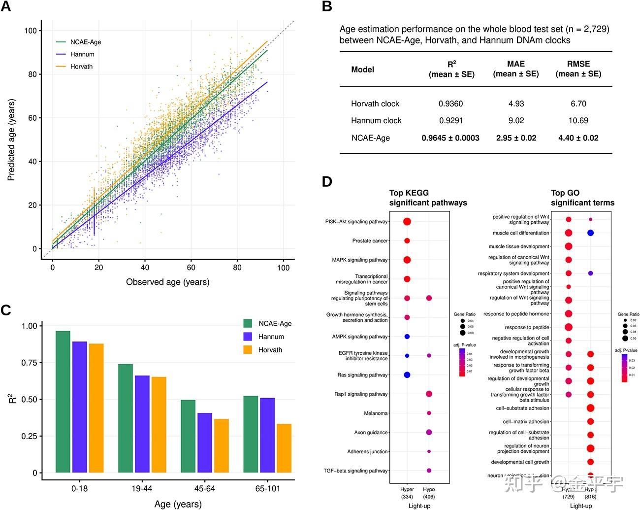 AI驱动的表观遗传学：开启精准医疗新纪元 - 知乎