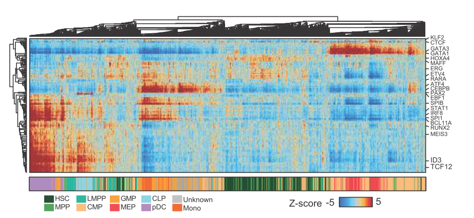 实用指南丨scATAC 基本分析思路介绍 - 知乎