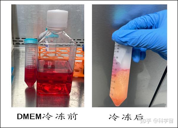 细胞培养箱，二氧化碳浓度为什么设置5%？ - 知乎