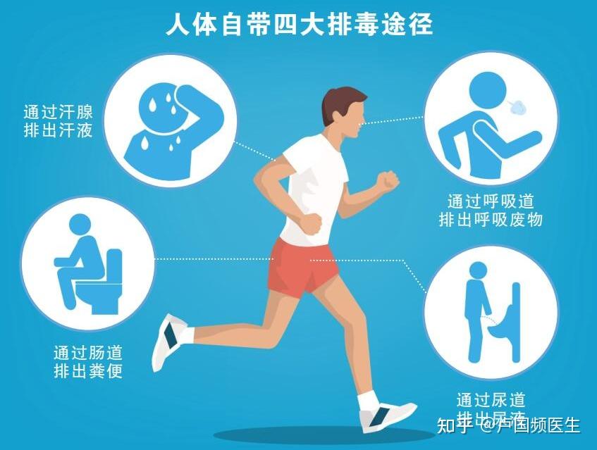 长痤疮是体内毒素太多吗？医生：观点错误，盲目用药可能导致毁容 - 知乎