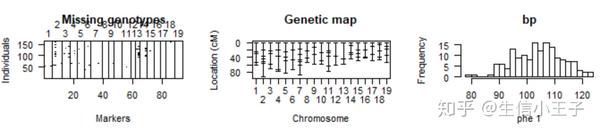 使用R/qtl进行QTL分析 - 知乎