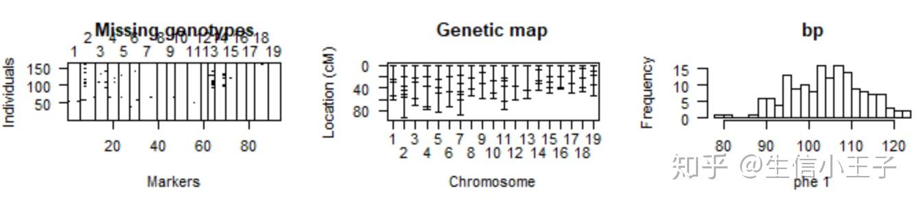 使用R/qtl进行QTL分析 - 知乎