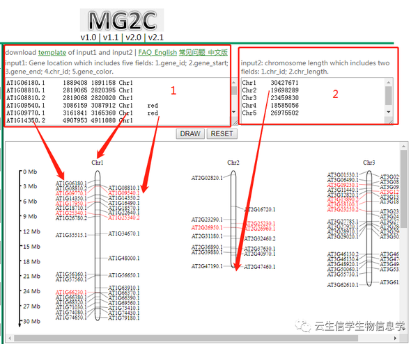 免费基因染色体位置图绘制工具MG2C - 知乎