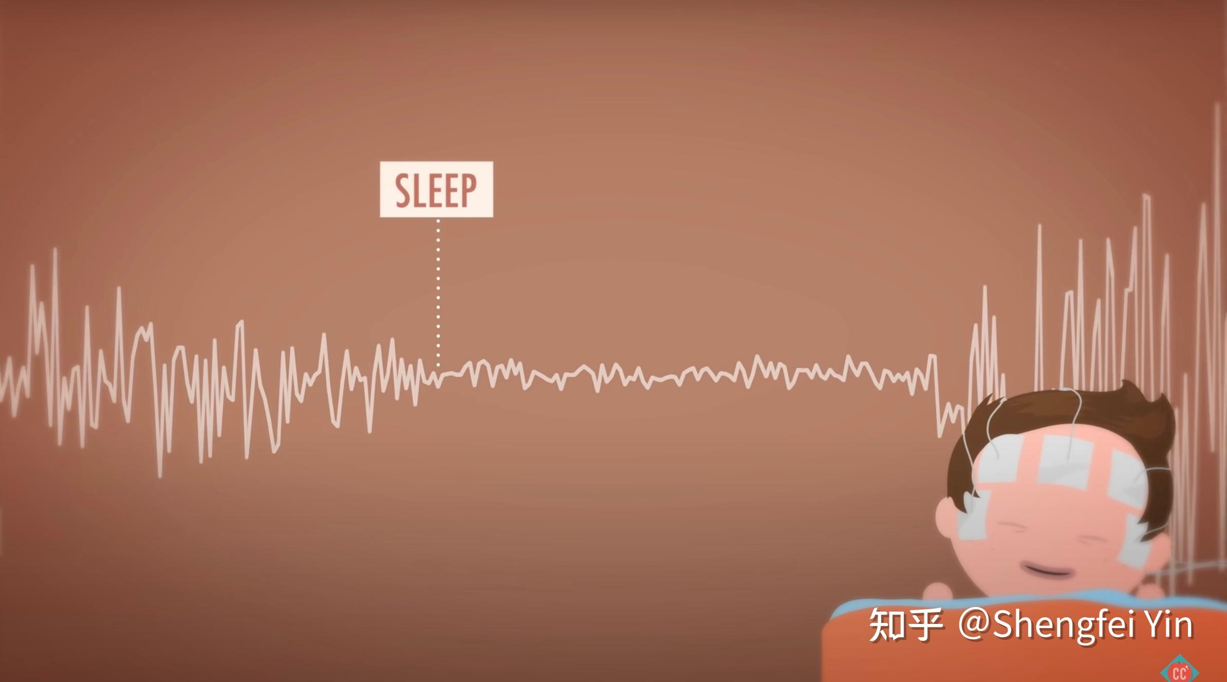 Sleep & Dreams - Crash Course Psychology #9 - 知乎
