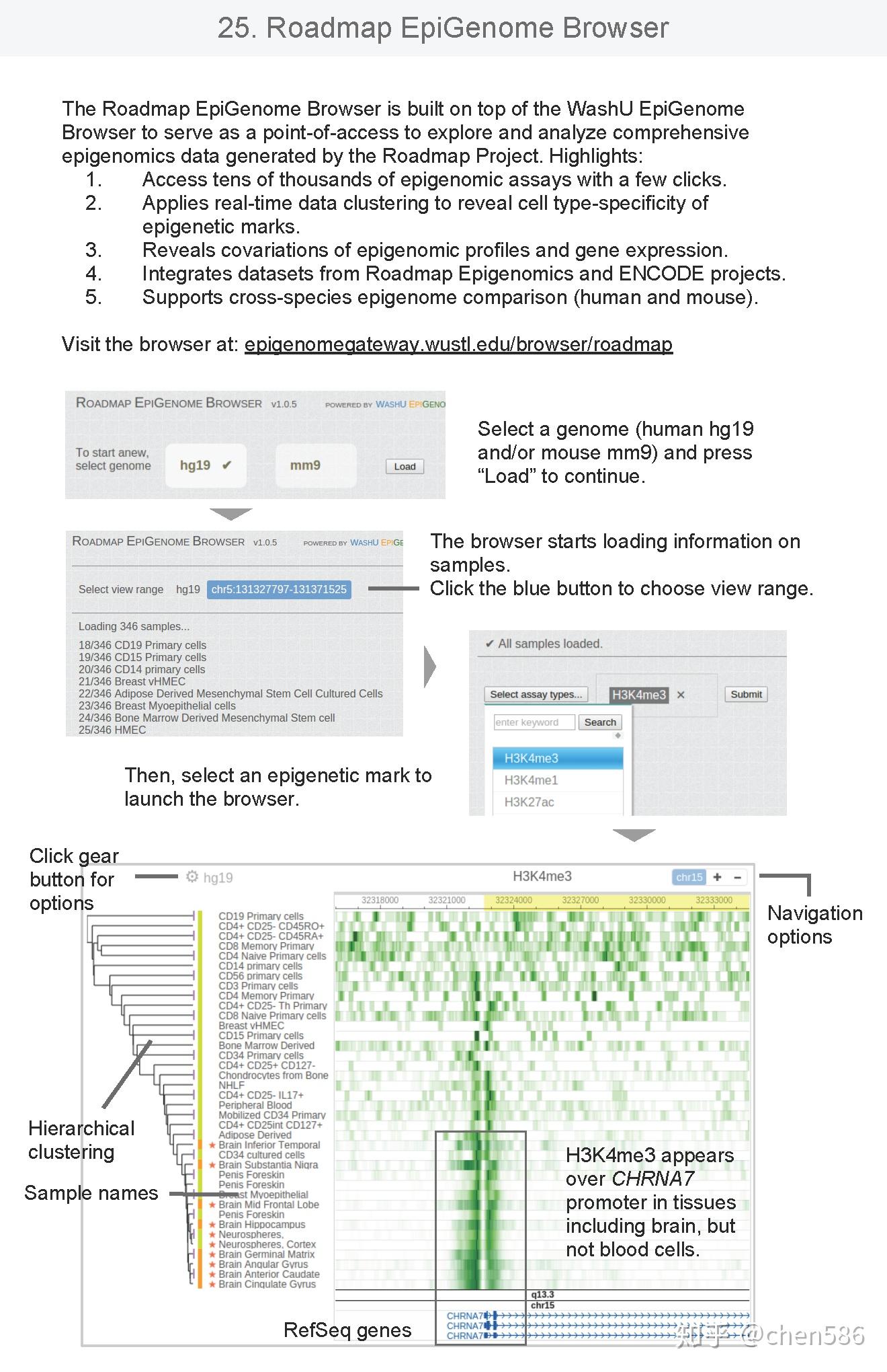 基因组浏览器使用 (EPGG) - 知乎