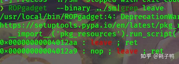 [NewStarCtf 2023] stack migration write up - 知乎